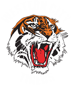 Watch Western City Tigers matches LIVE on BarTV Sports!