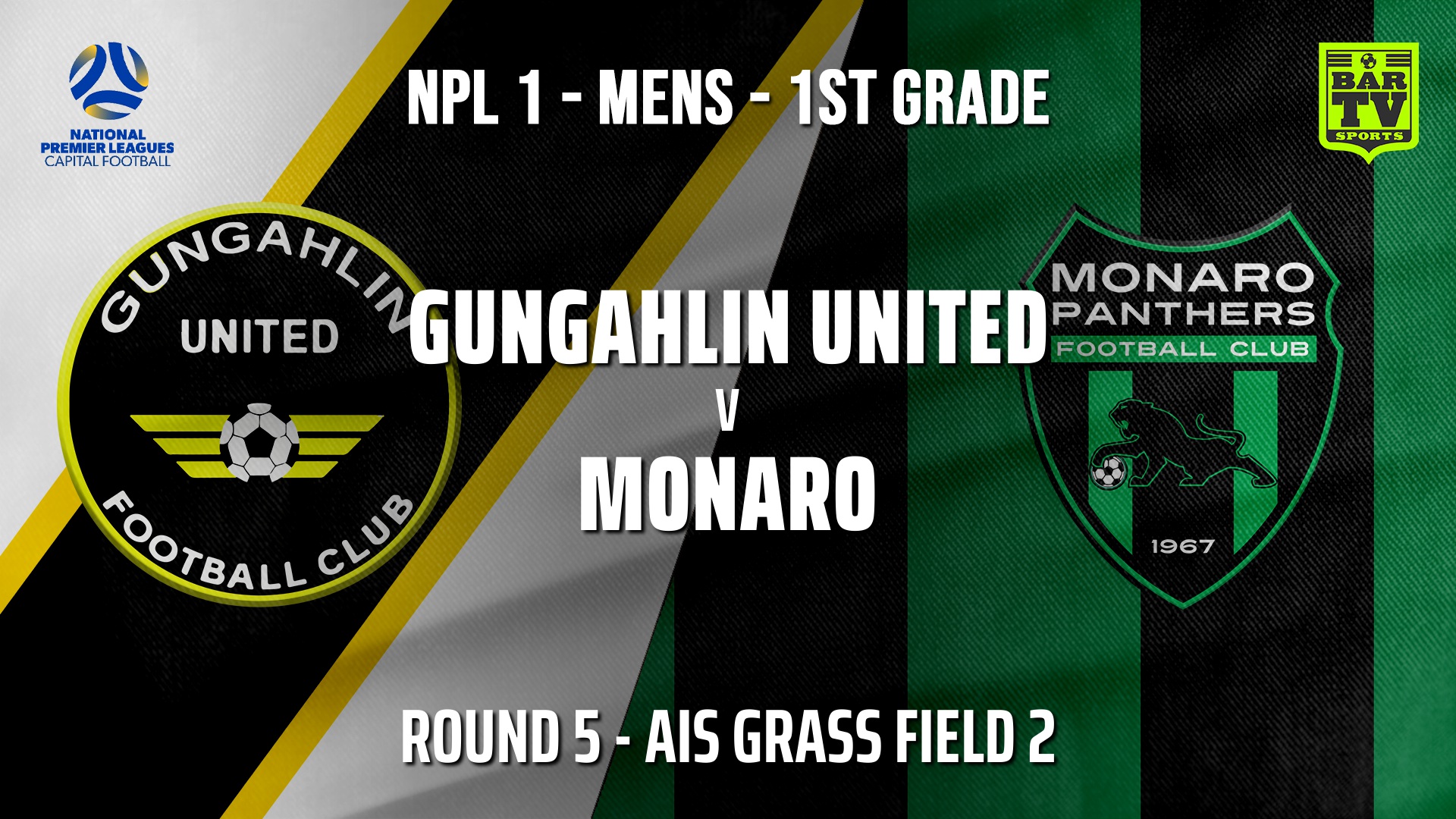 Monaro Panthers FC (Football)