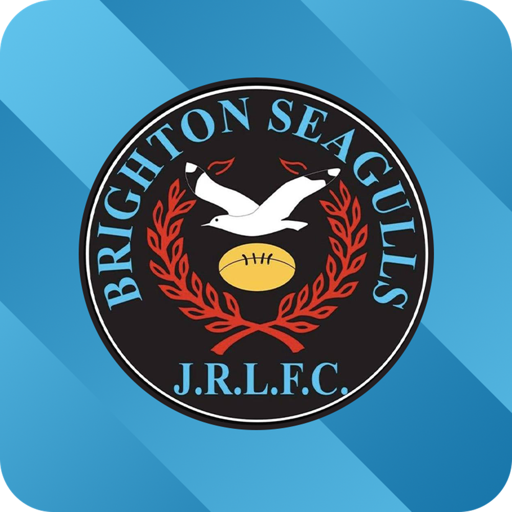 Watch Brighton Seagulls matches LIVE on BarTV Sports!