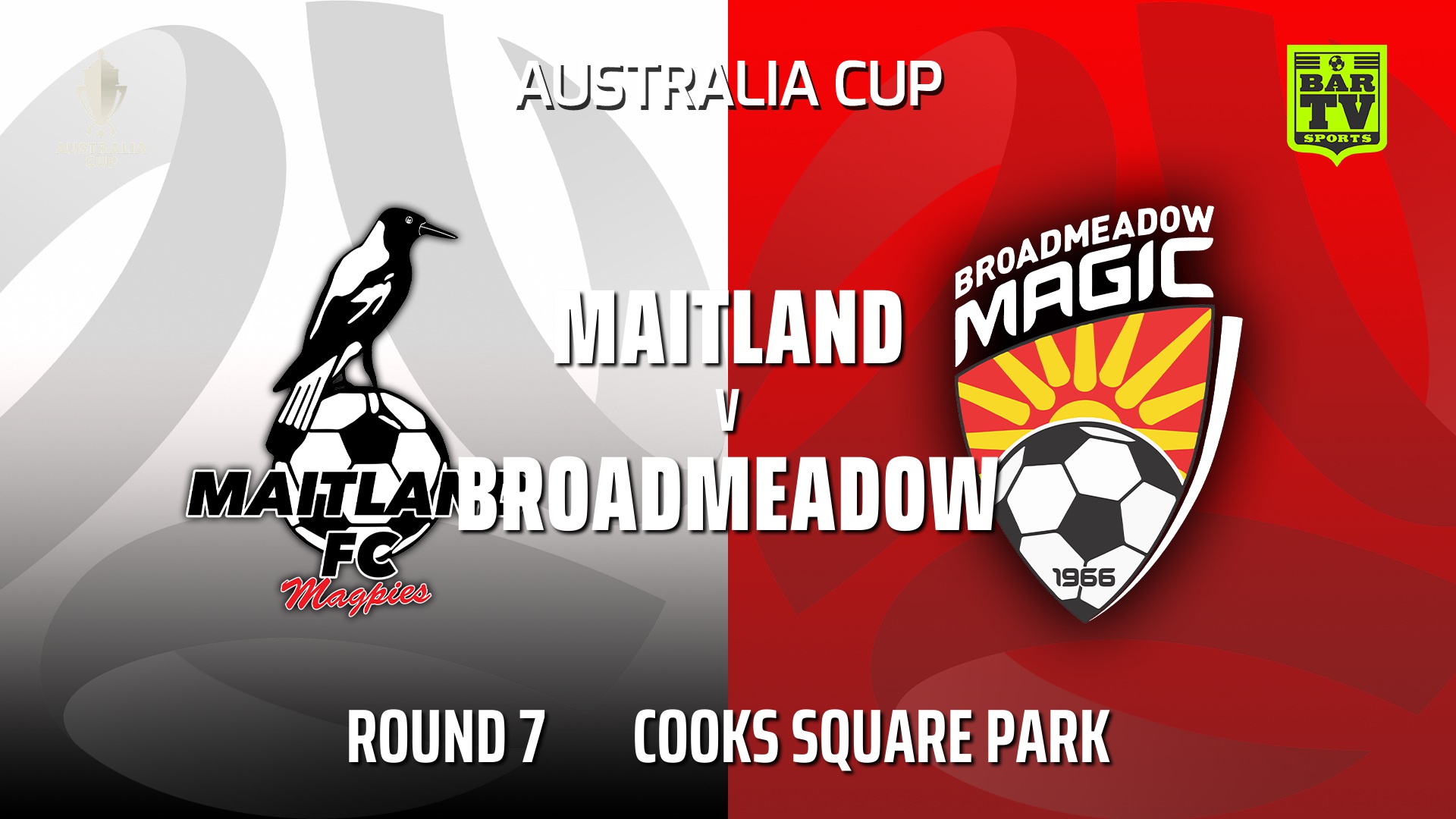 Broadmeadow Magic FC (Football)