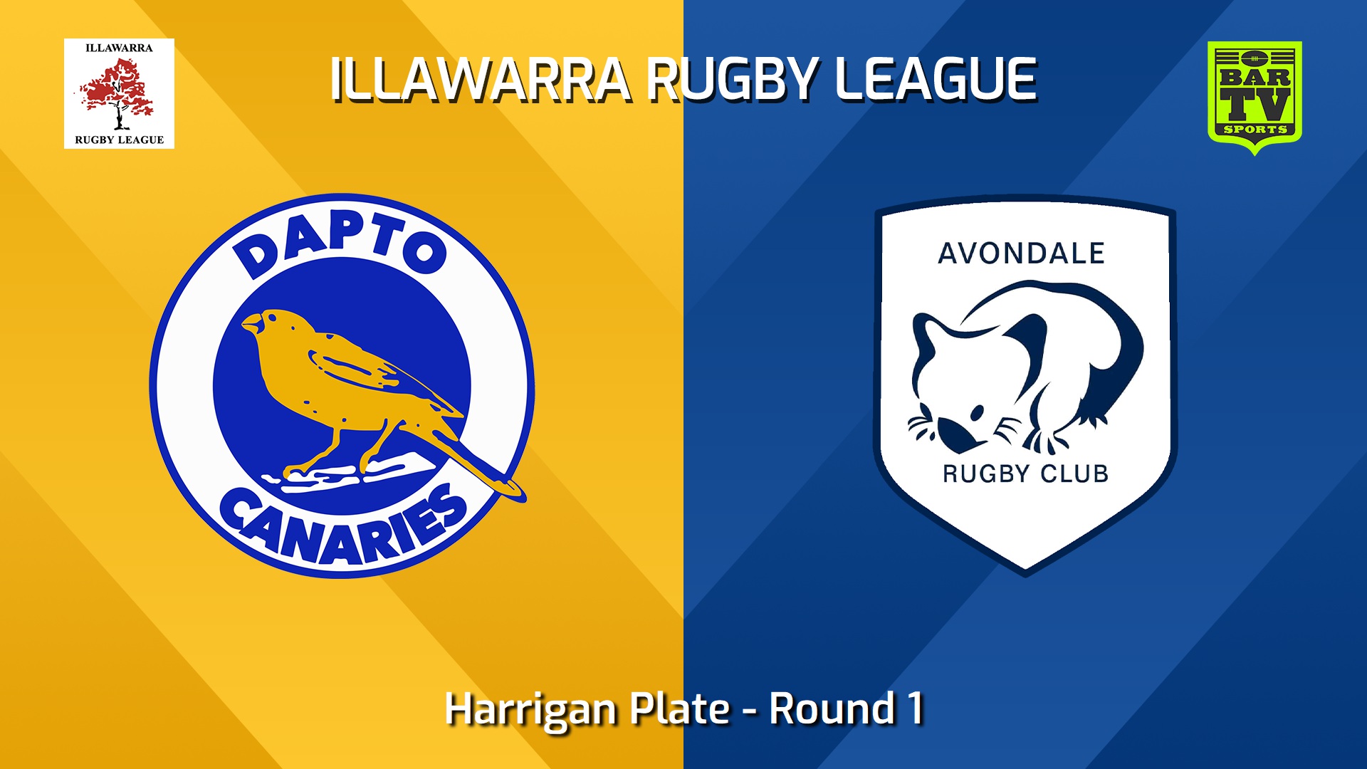 VIDEO: Illawarra Round 1 - Harrigan Plate - Dapto Canaries v Avondale ...