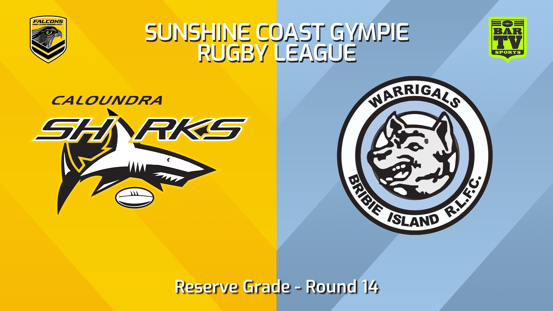 Watch Caloundra Sharks matches LIVE on BarTV Sports!