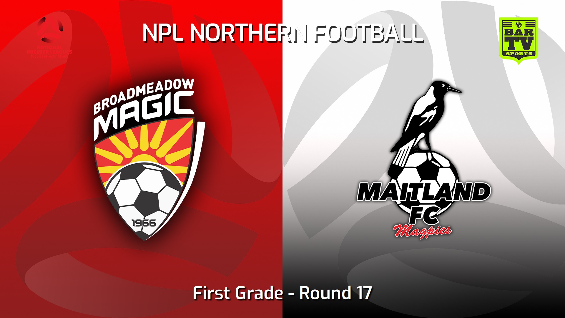 BUY GAME: NNSW NPLM Round 17 - Broadmeadow Magic v Maitland FC