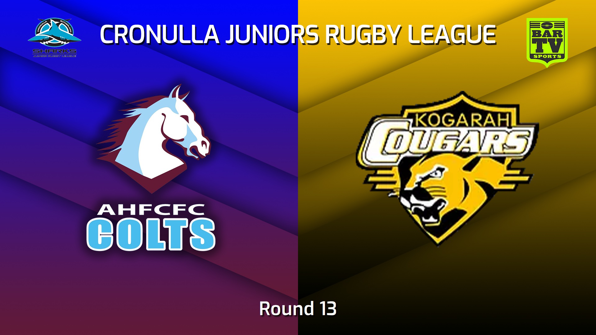 Watch Kogarah Cougars matches LIVE on BarTV Sports!