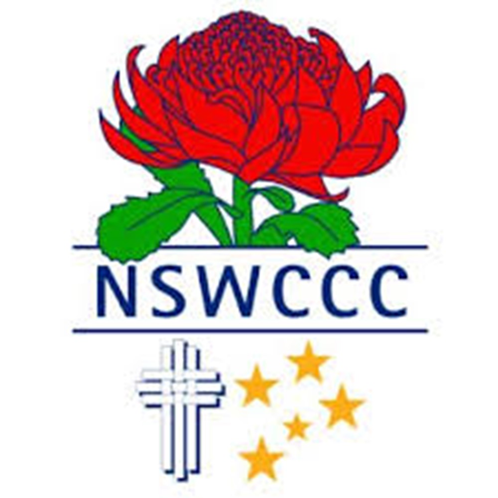 Watch NSWCCC matches LIVE on BarTV Sports!