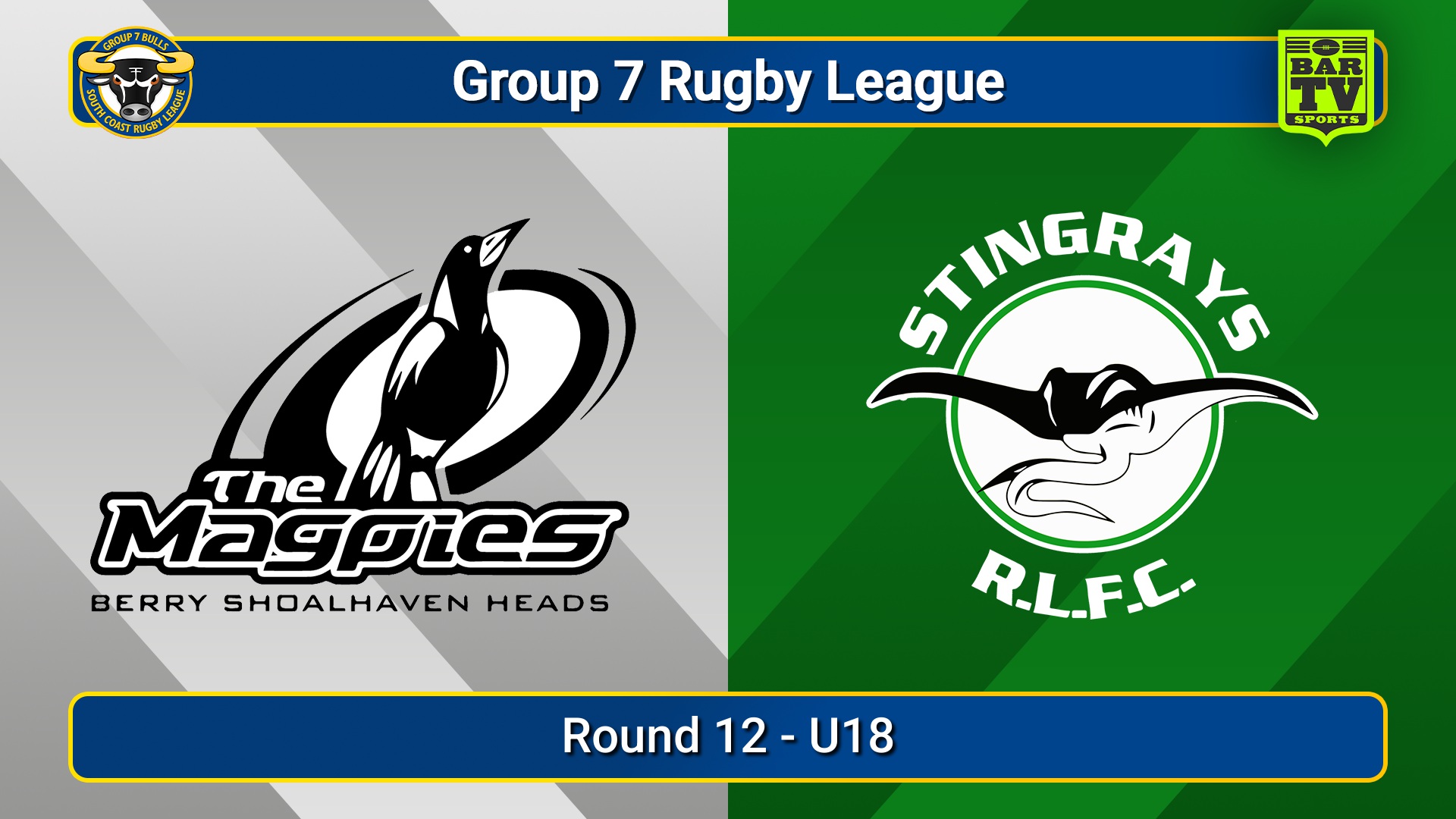 Watch Stingrays of Shellharbour matches LIVE on BarTV Sports!