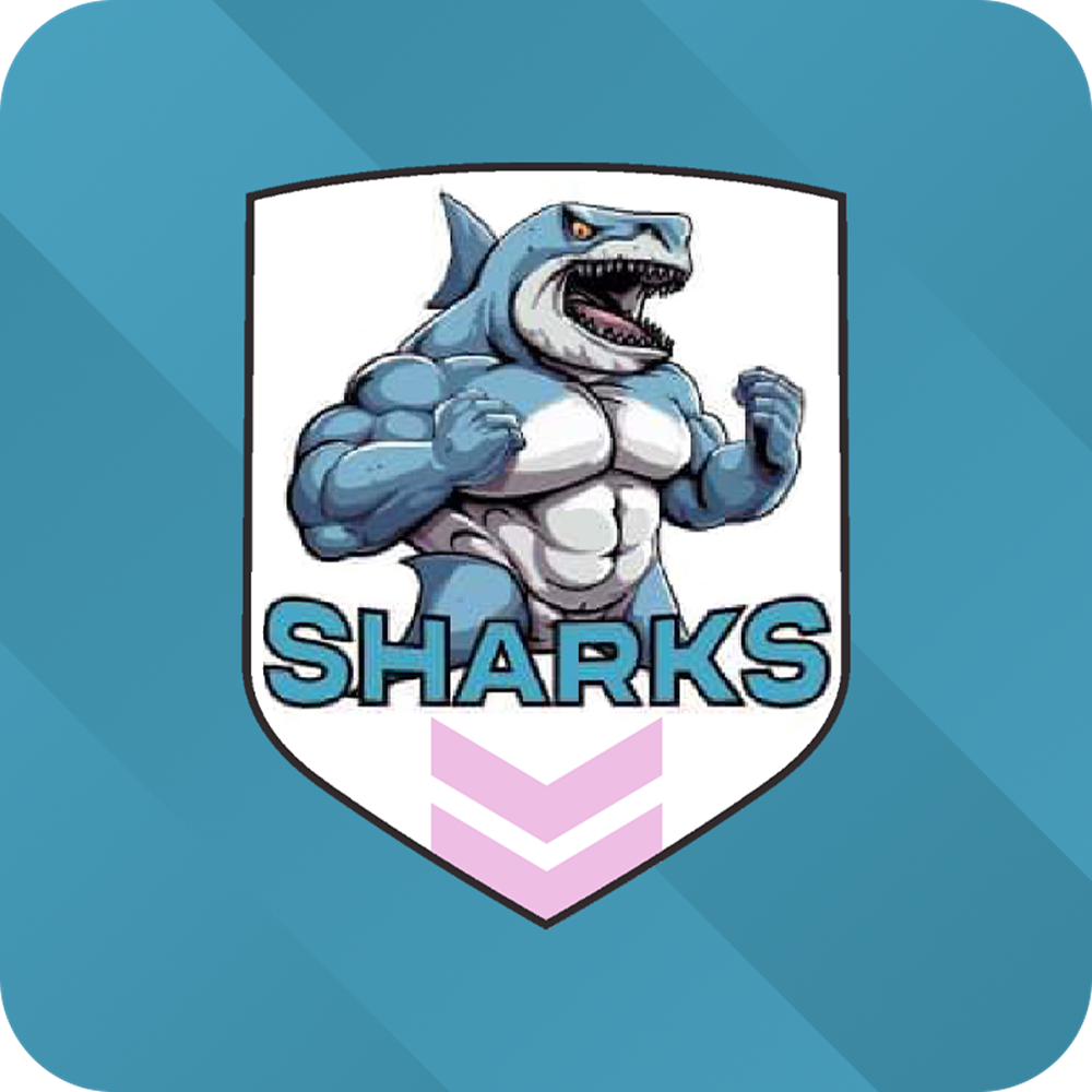 Watch TFW Blue Sharks matches LIVE on BarTV Sports!