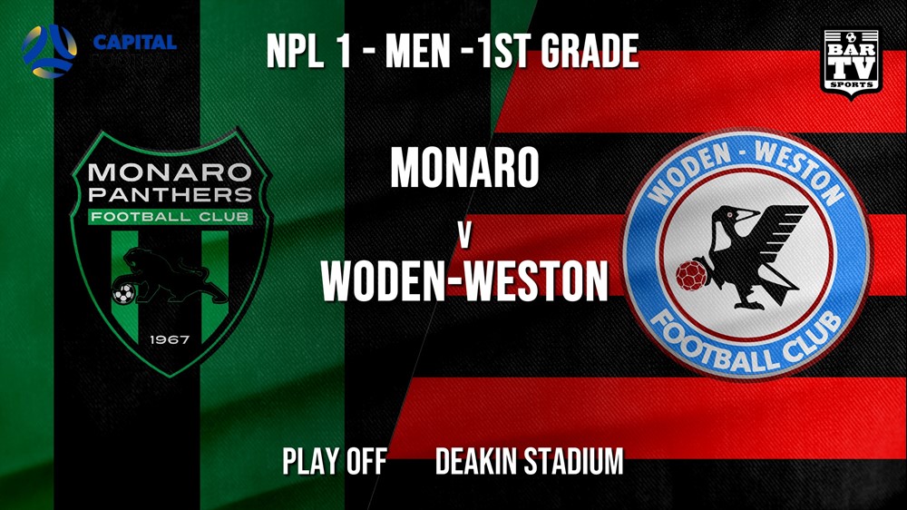 Monaro Panthers FC (Football)