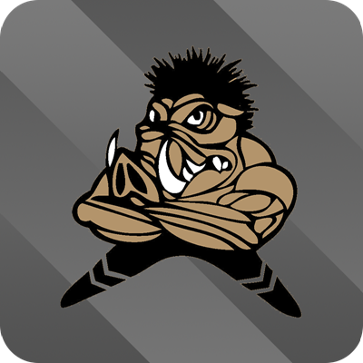 Watch Razorbacks matches LIVE on BarTV Sports!