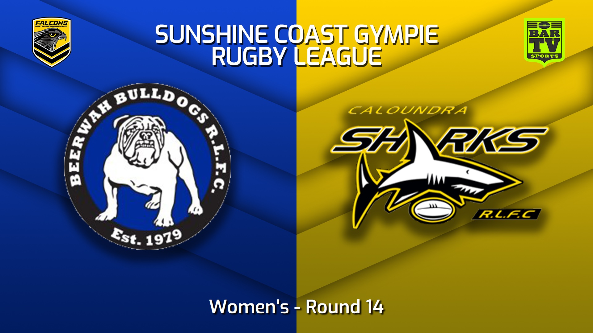 Watch Caloundra Sharks matches LIVE on BarTV Sports!