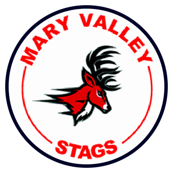 Watch Mary Valley Stags matches LIVE on BarTV Sports!