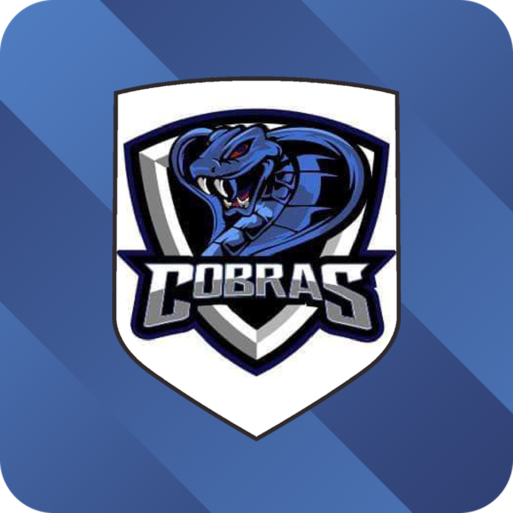 Watch TFW Cobras matches LIVE on BarTV Sports!