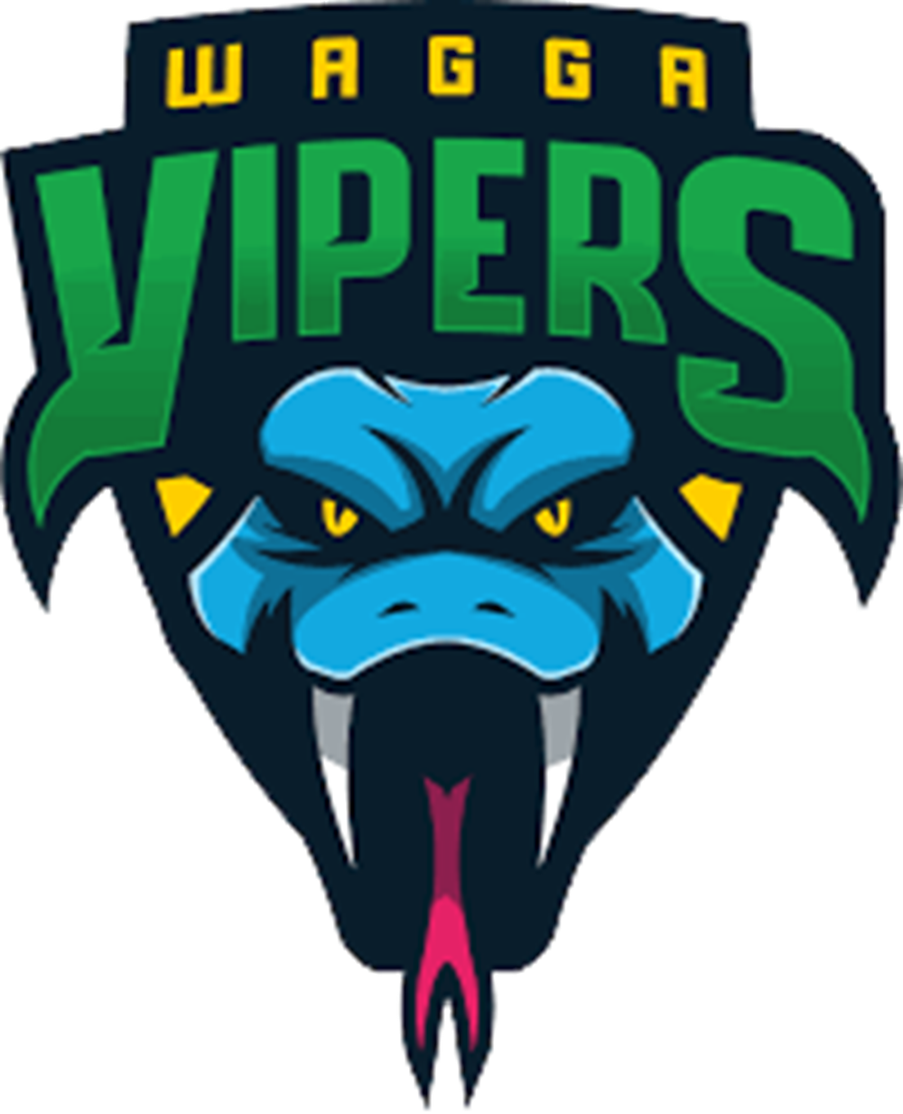Watch Wagga Wagga matches LIVE on BarTV Sports!